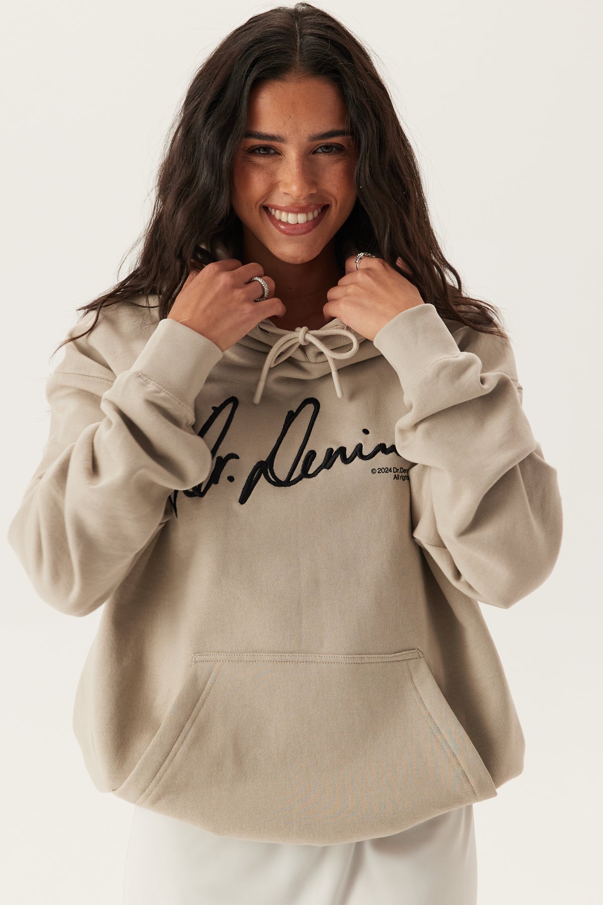 Dr. denim - Dr. Denim - Damien Hoodie Silver Lining Script